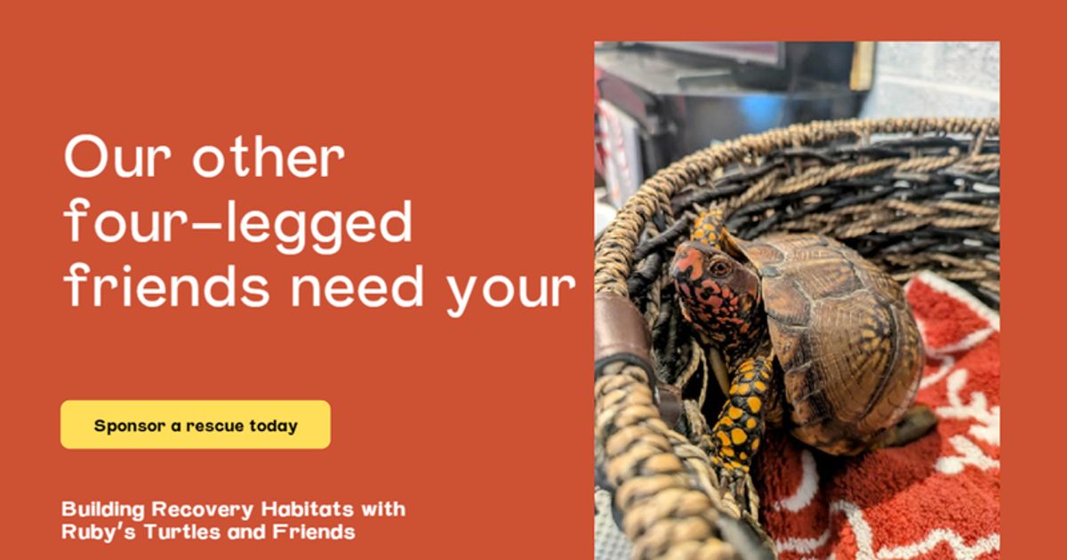Ruby's Turtles and Friends - Organized by Paula Cenusa